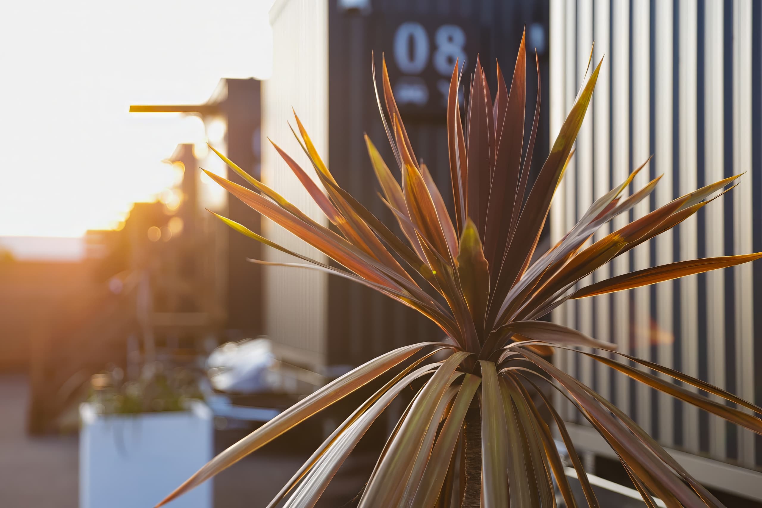 おしらせ - SEAGE TORAMI COASTSIDE - 東浪見 千葉