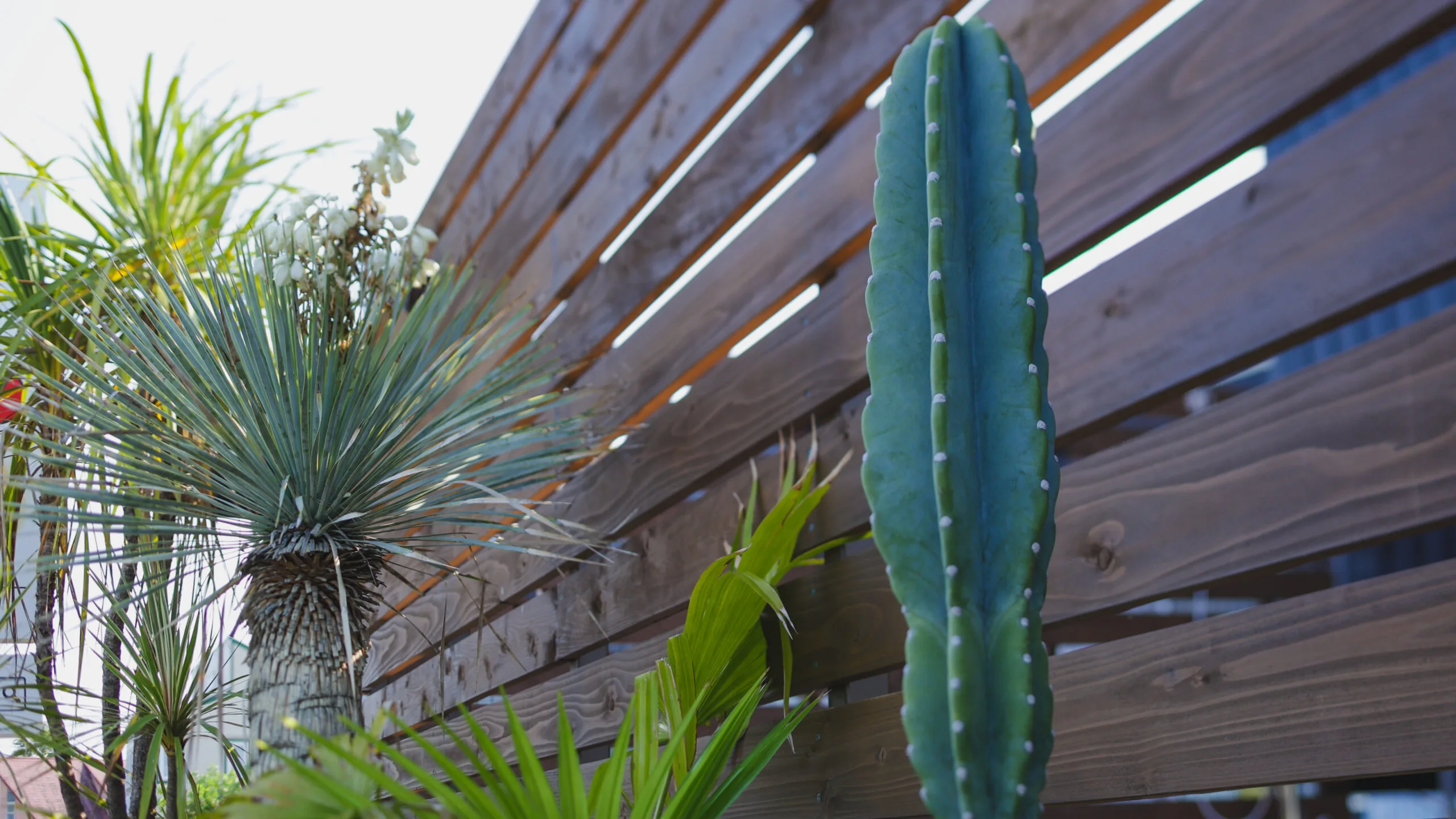 Faq - SEAGE TORAMI COASTSIDE